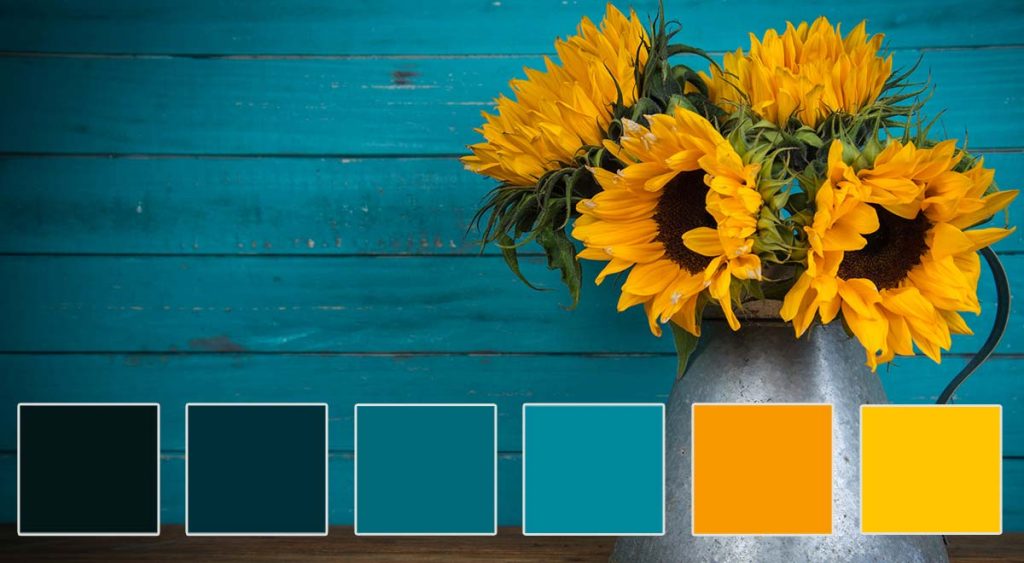 9 Stunning Color Schemes for Business Inspiration - Cider House Media